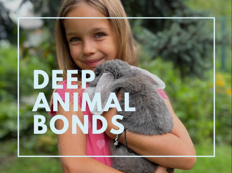 Deep Animal Bonds Collection – Gogh Jewelry Design